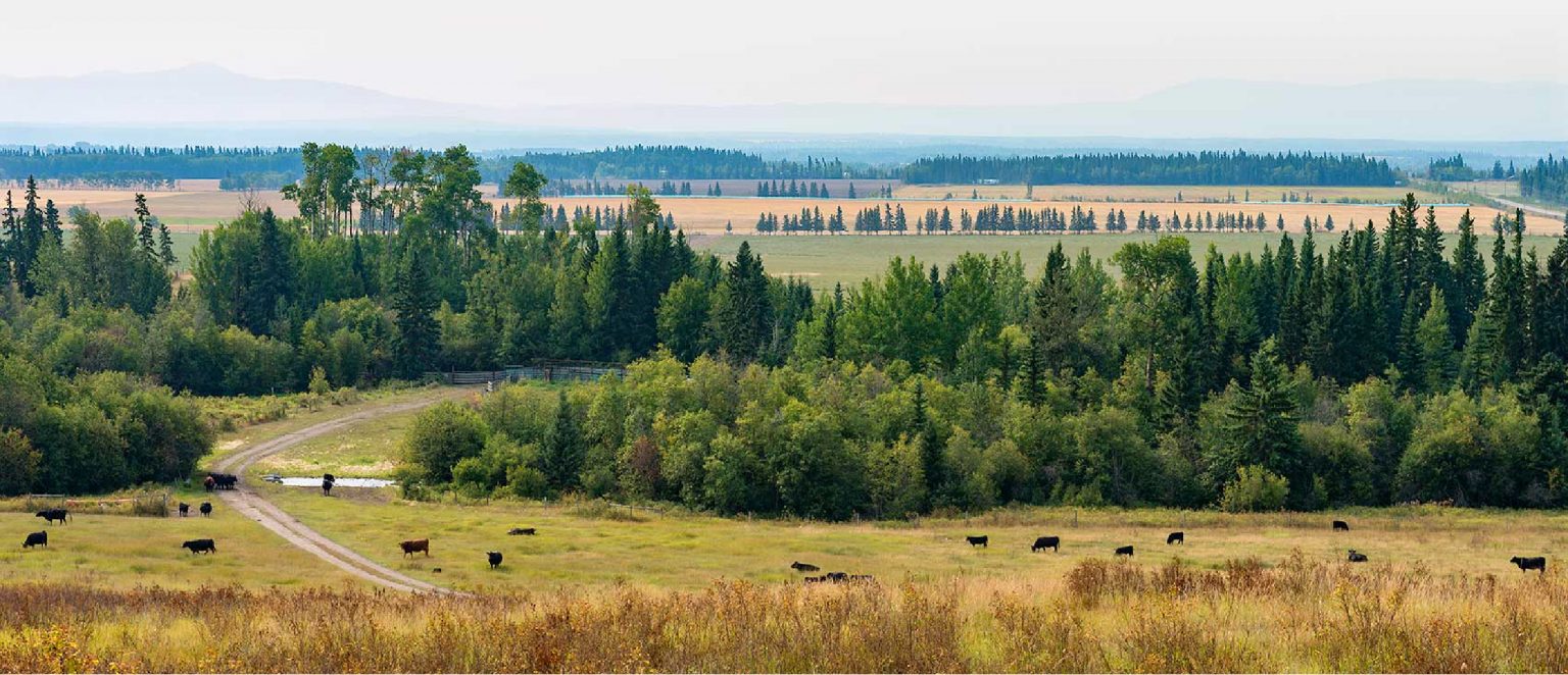 Hillview Guest Rooms | Vanderhoof Hotels